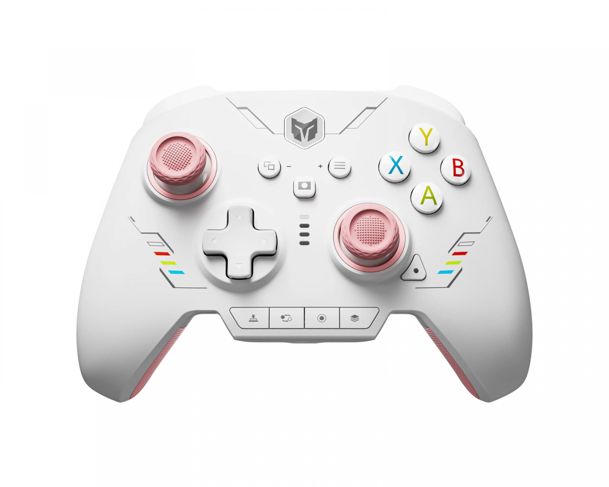 BIGBIG WON Rainbow 2 SE Wireless Controller - Pink - us.MaxGaming.com