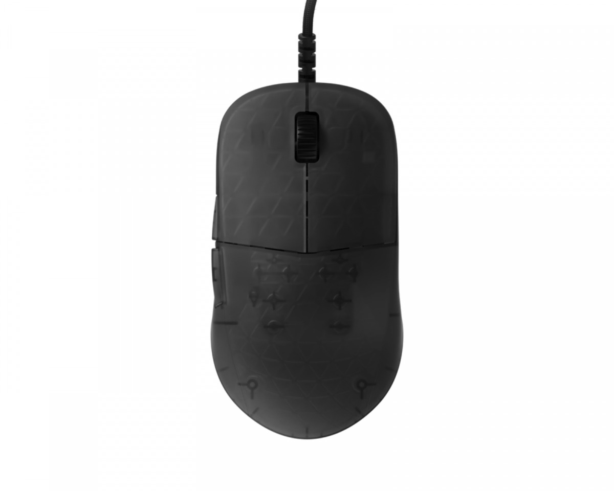 Endgame Gear XM2 8k (v2) - Wired Gaming Mouse - Dark Frost - us ...